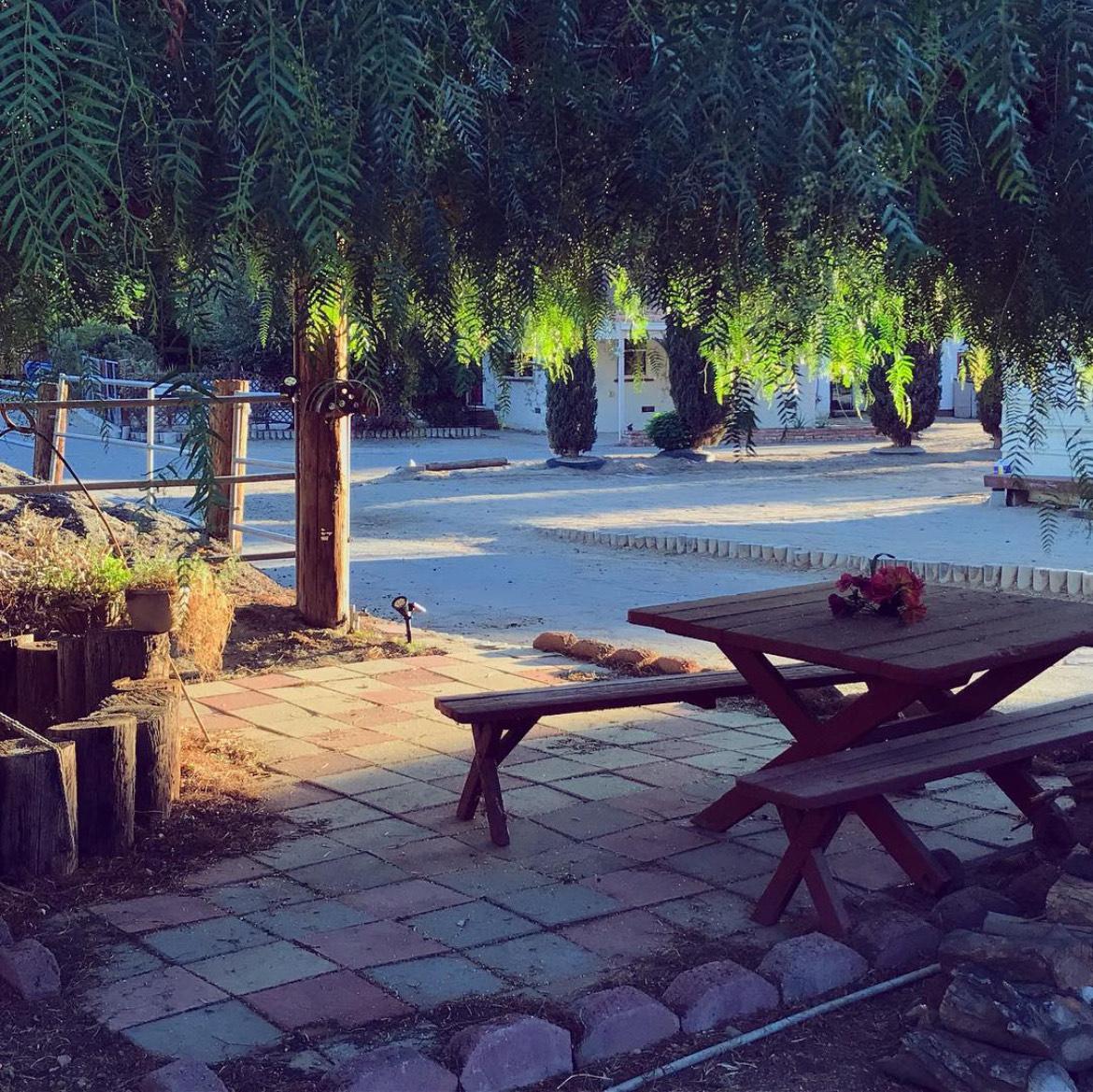 About Us – La Tuna Cat Ranch